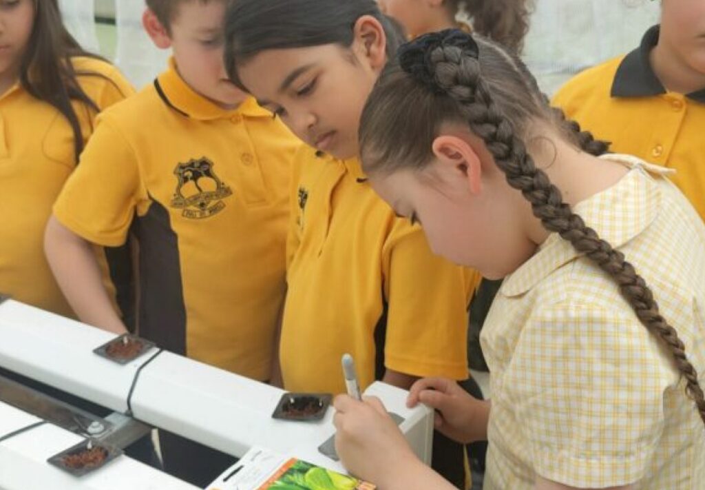 Donate and Volunteer | Food Ladder